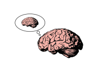 What is Cognitive-Communication? - Wollongong Speech Pathology